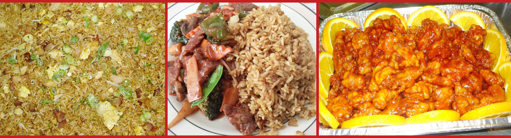 Hunan Palace Chinese Restaurant - Elmhurst, IL 60126 (Menu & Order Online)